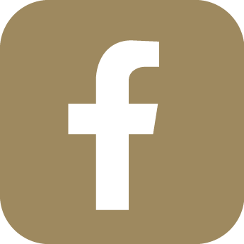 Director-General & Secretary of Cabinet Phindile Baleni | The Presidency