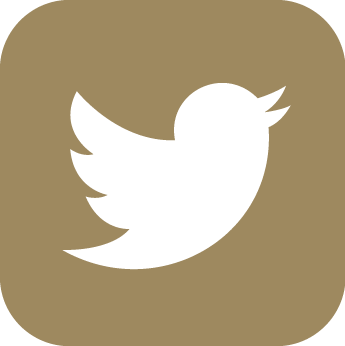 Director-General & Secretary of Cabinet Phindile Baleni | The Presidency